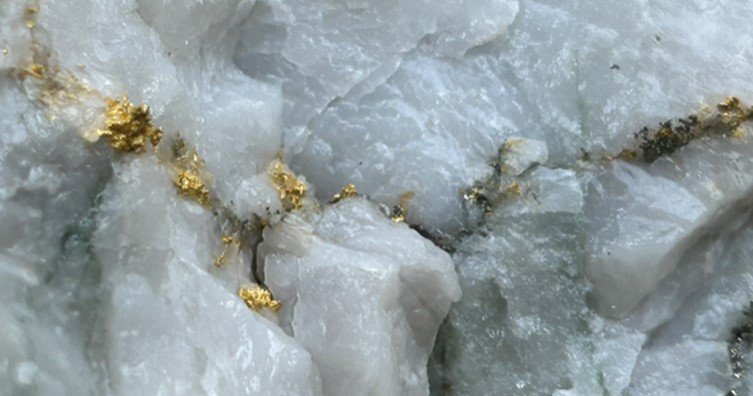 DWC invests in Snowy River gold mine | West Coast NZ
