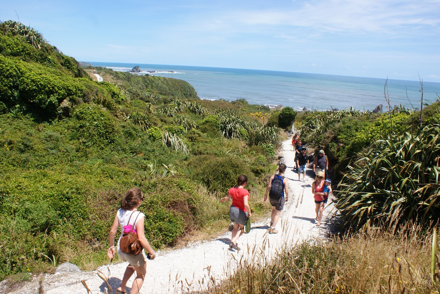 Take a little walk on the wild side | West Coast NZ