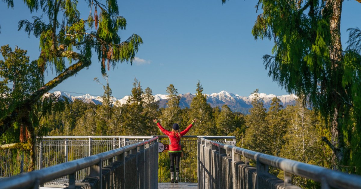 West Coast Treetop Walk & Tower Zipline | West Coast NZ