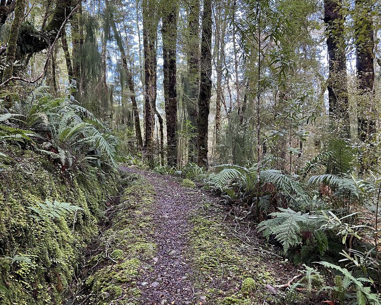 Karamea & Ōpārara walks | West Coast NZ