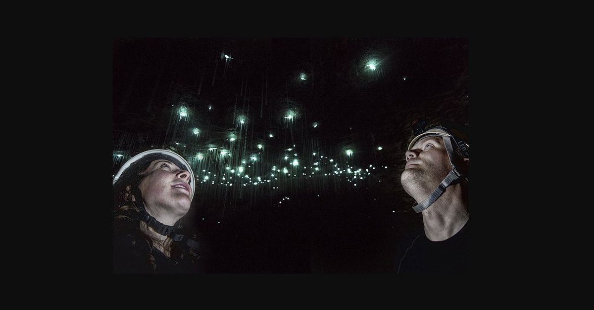5 night spots for after-dark adventures | West Coast NZ