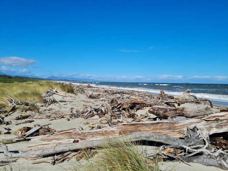 Haast walks | West Coast NZ