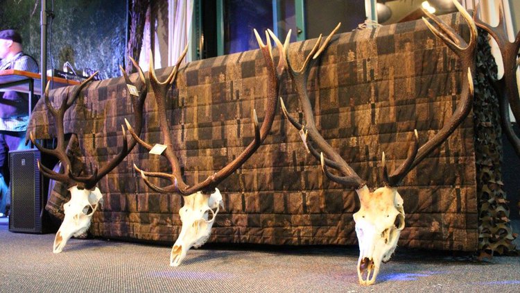 Haast township | West Coast NZ