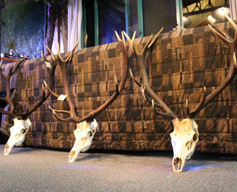 Operators | West Coast NZ