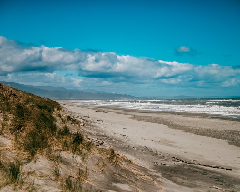 Summer on the Coast | West Coast NZ