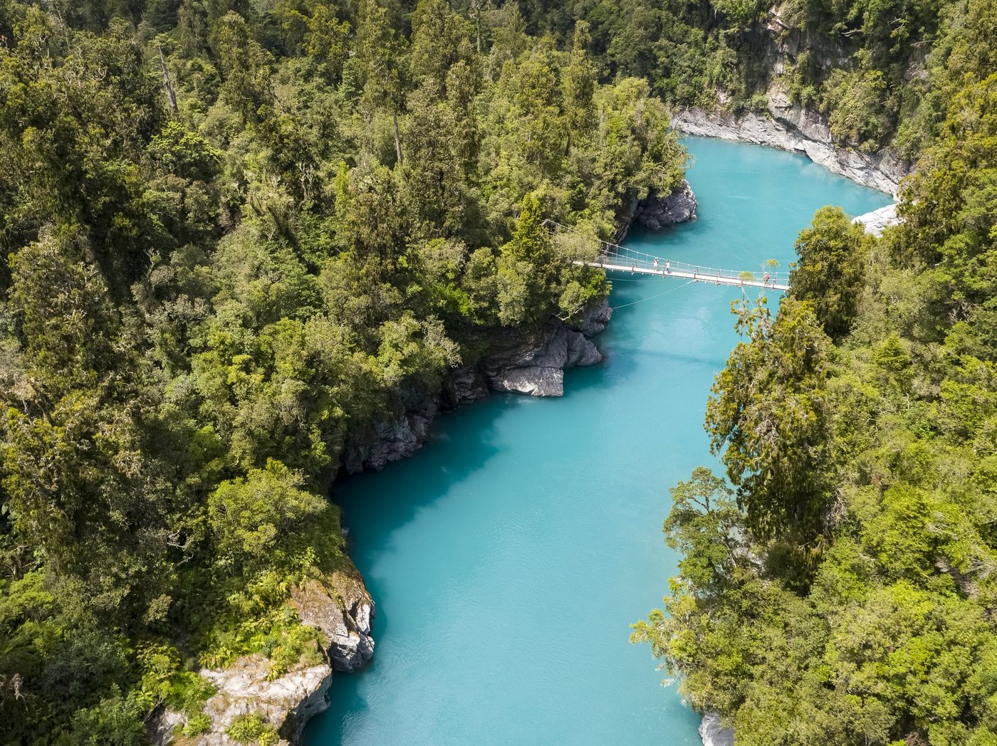 Six Unmissable West Coast Icons | West Coast NZ