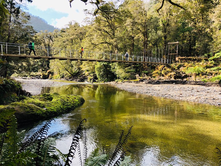 Paparoa Track | West Coast NZ