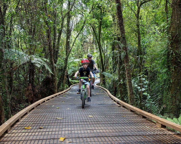 Westport & Buller Walks | West Coast NZ