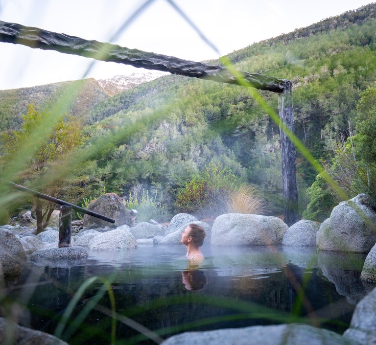 West Coast bush walks | West Coast NZ