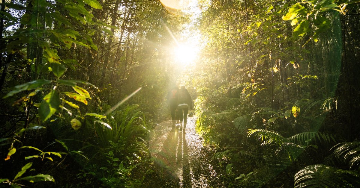 Unmissable West Coast Icons Trade Famil | West Coast NZ