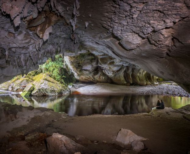Ōpārara Arches | West Coast NZ