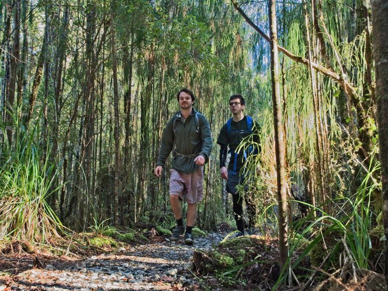 Paparoa Track | West Coast NZ