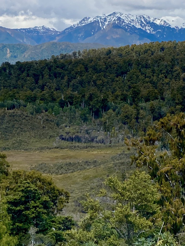 Franz Josef & Fox Glacier walks | West Coast NZ
