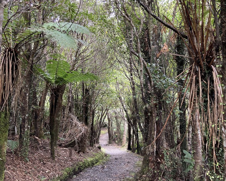Greymouth walks | West Coast NZ