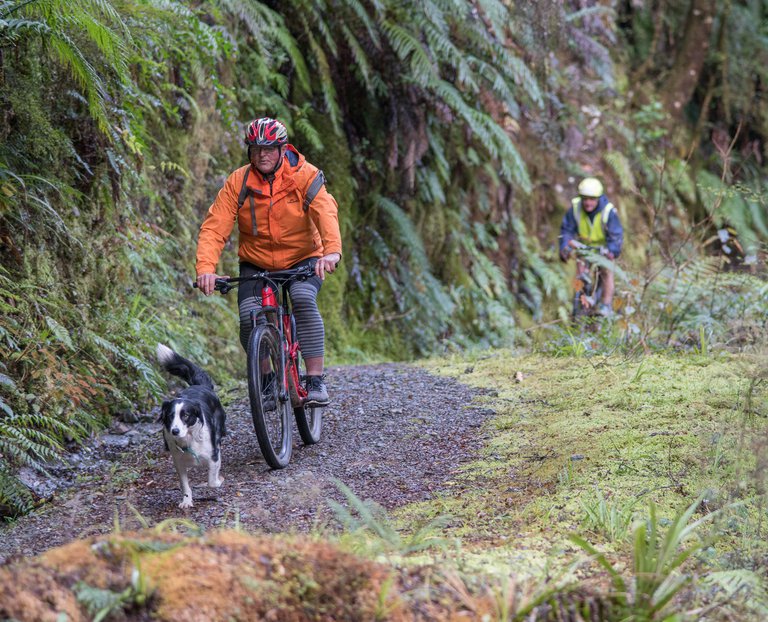 Reefton | West Coast NZ