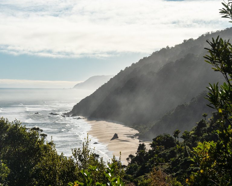 Summer on the Coast | West Coast NZ
