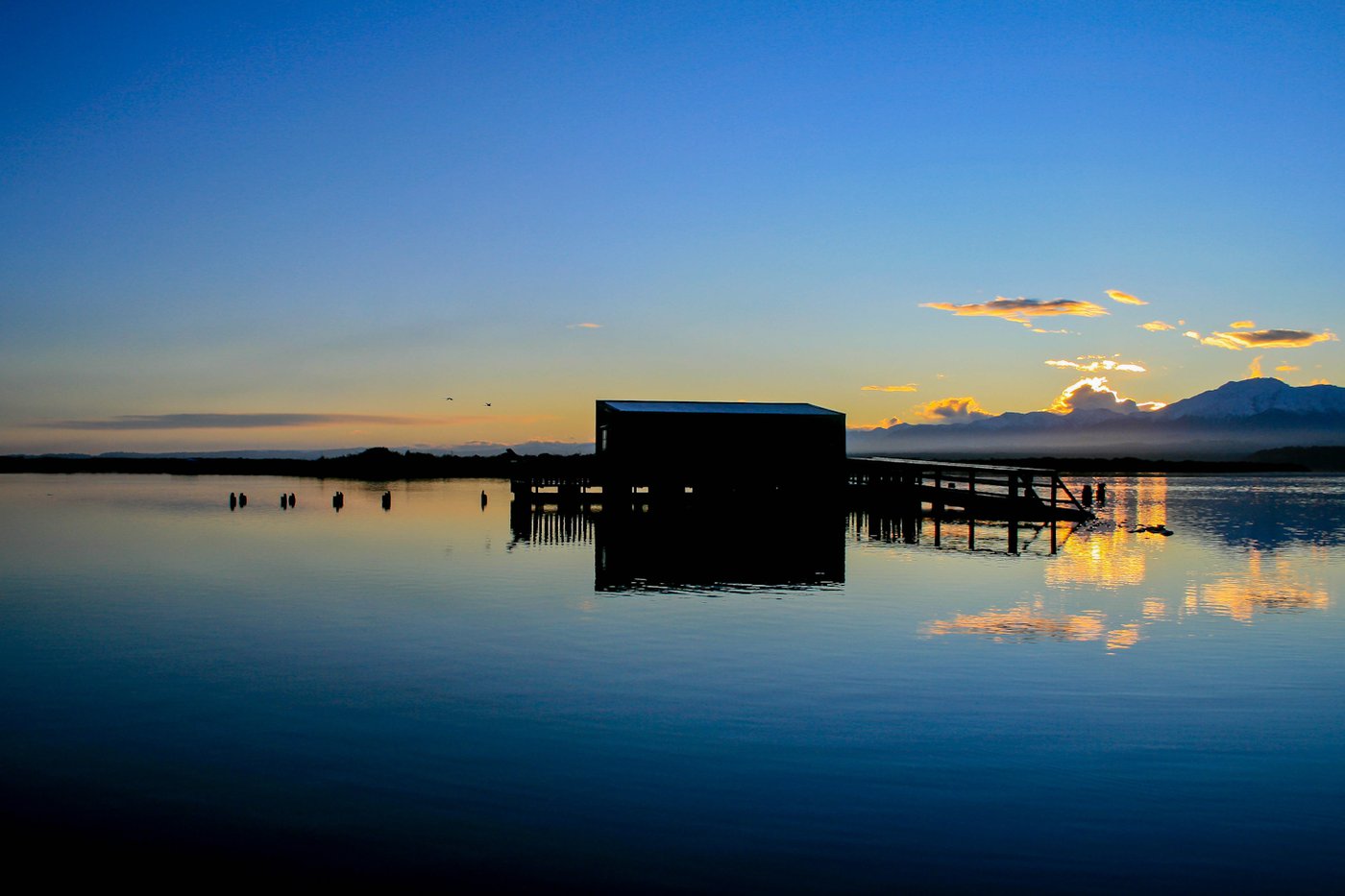 Ōkārito walks | West Coast NZ
