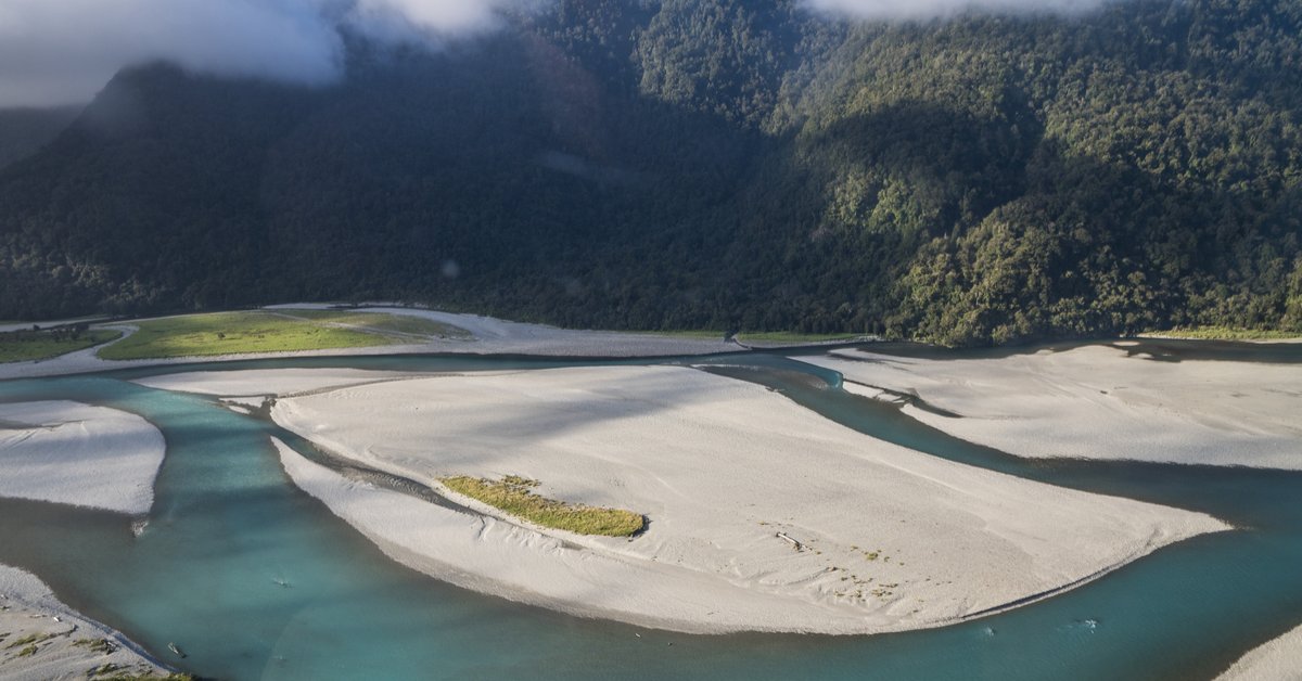 From wild ingredients to world-class brands | West Coast NZ