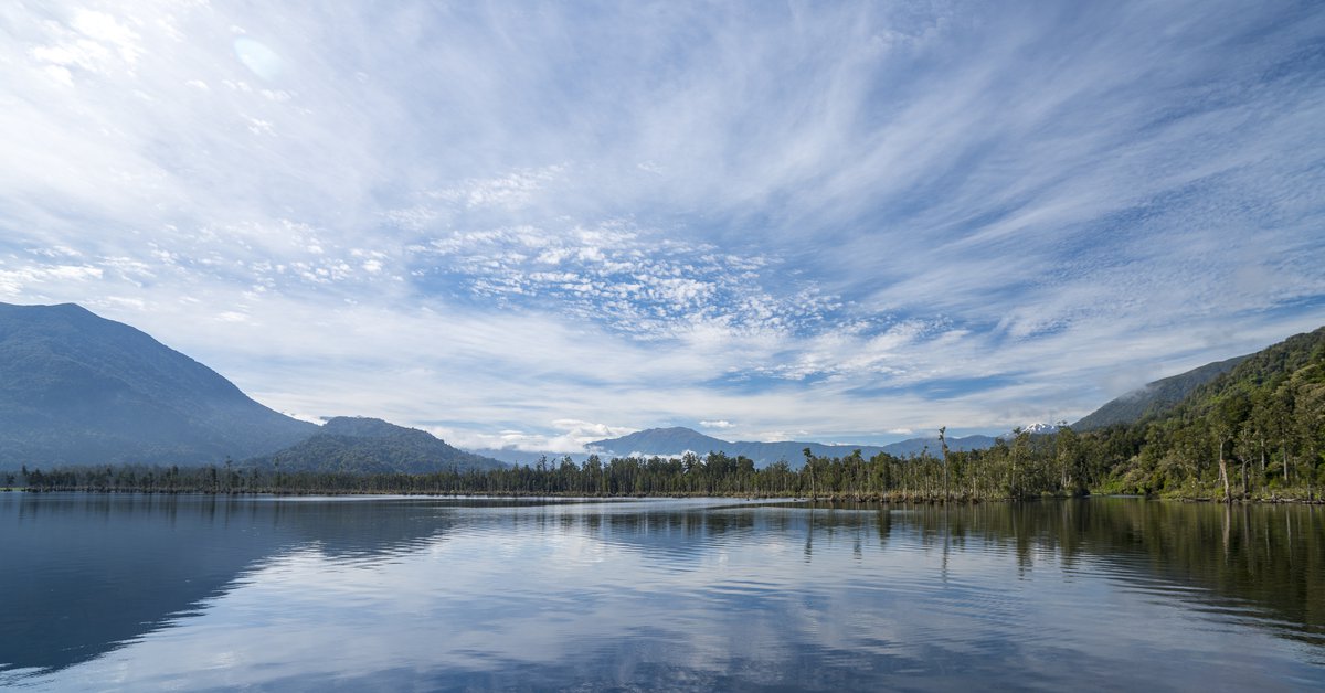 Lake Brunner Trail Run 2025 | West Coast NZ