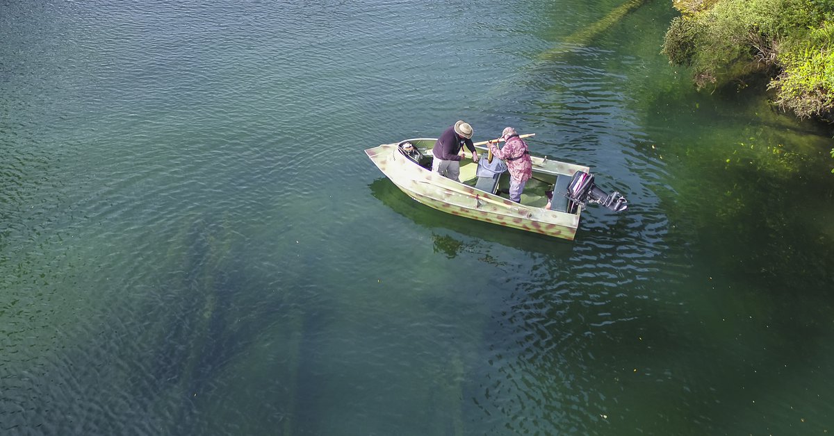 Lake Brunner and Greymouth | West Coast NZ