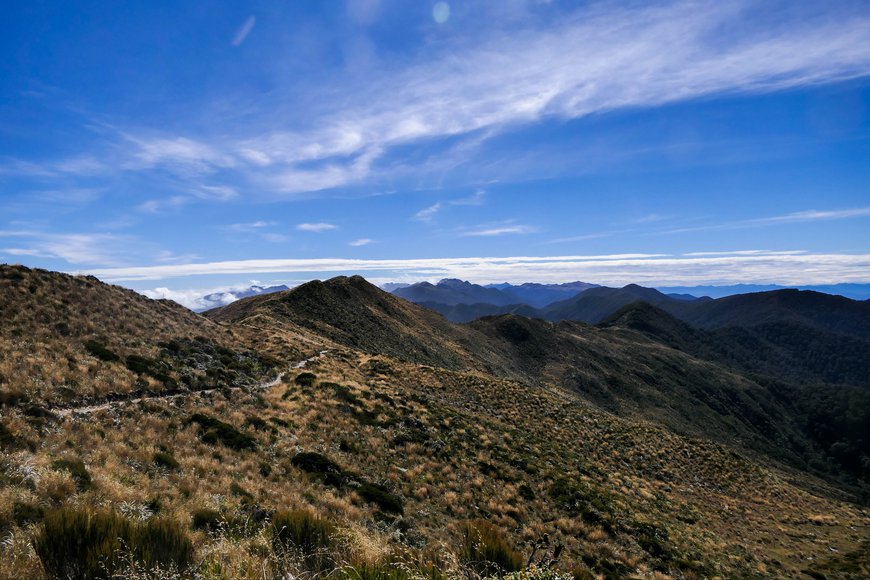 Paparoa Track | West Coast NZ