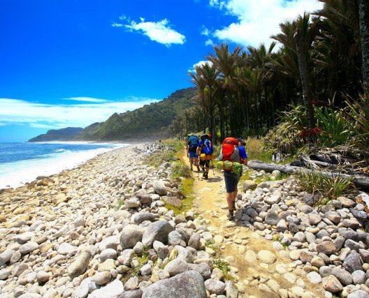 The Heaphy Track, NZ Great Walk | West Coast NZ