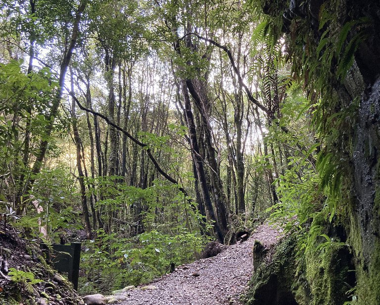 Hokitika walks | West Coast NZ