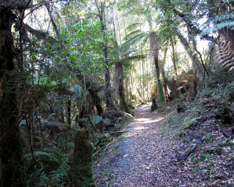 Lake Brunner, Moana Walks | West Coast NZ