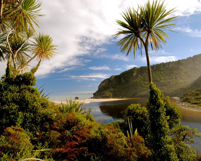 Karamea & Ōpārara walks | West Coast NZ