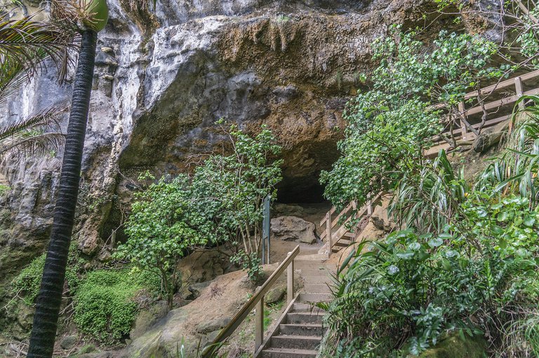 Punakaiki walks | West Coast NZ