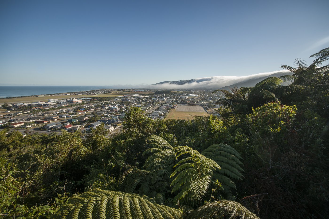 Grey District | West Coast NZ