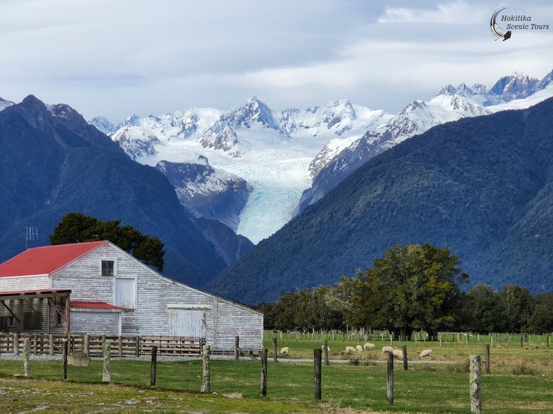 Trenz 2024 | West Coast NZ