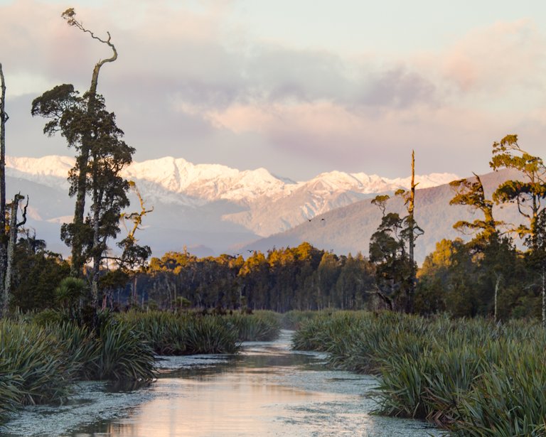 Hokitika walks | West Coast NZ