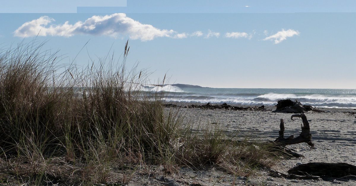 Haast Beach Motels | West Coast NZ