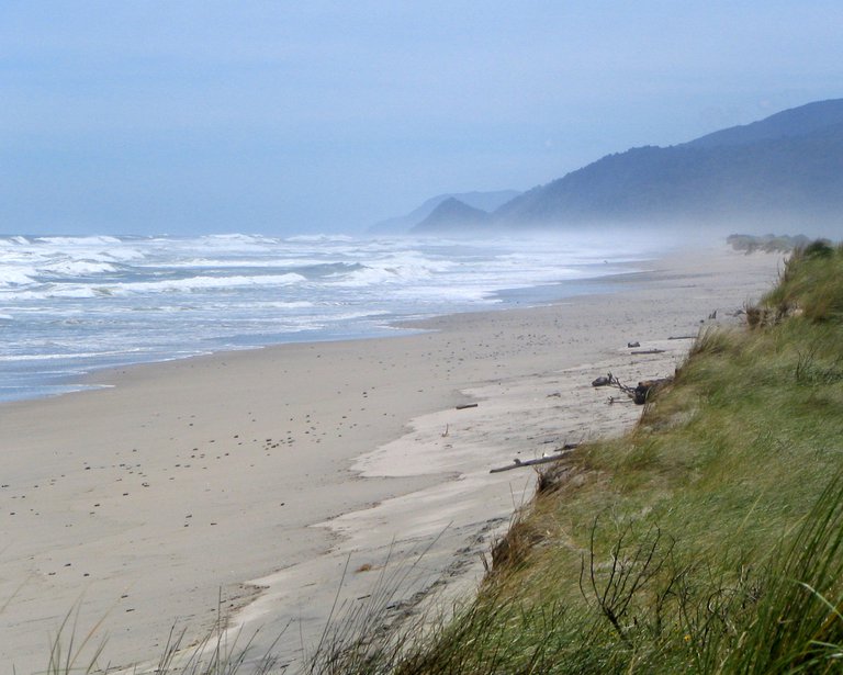 Karamea & Ōpārara walks | West Coast NZ