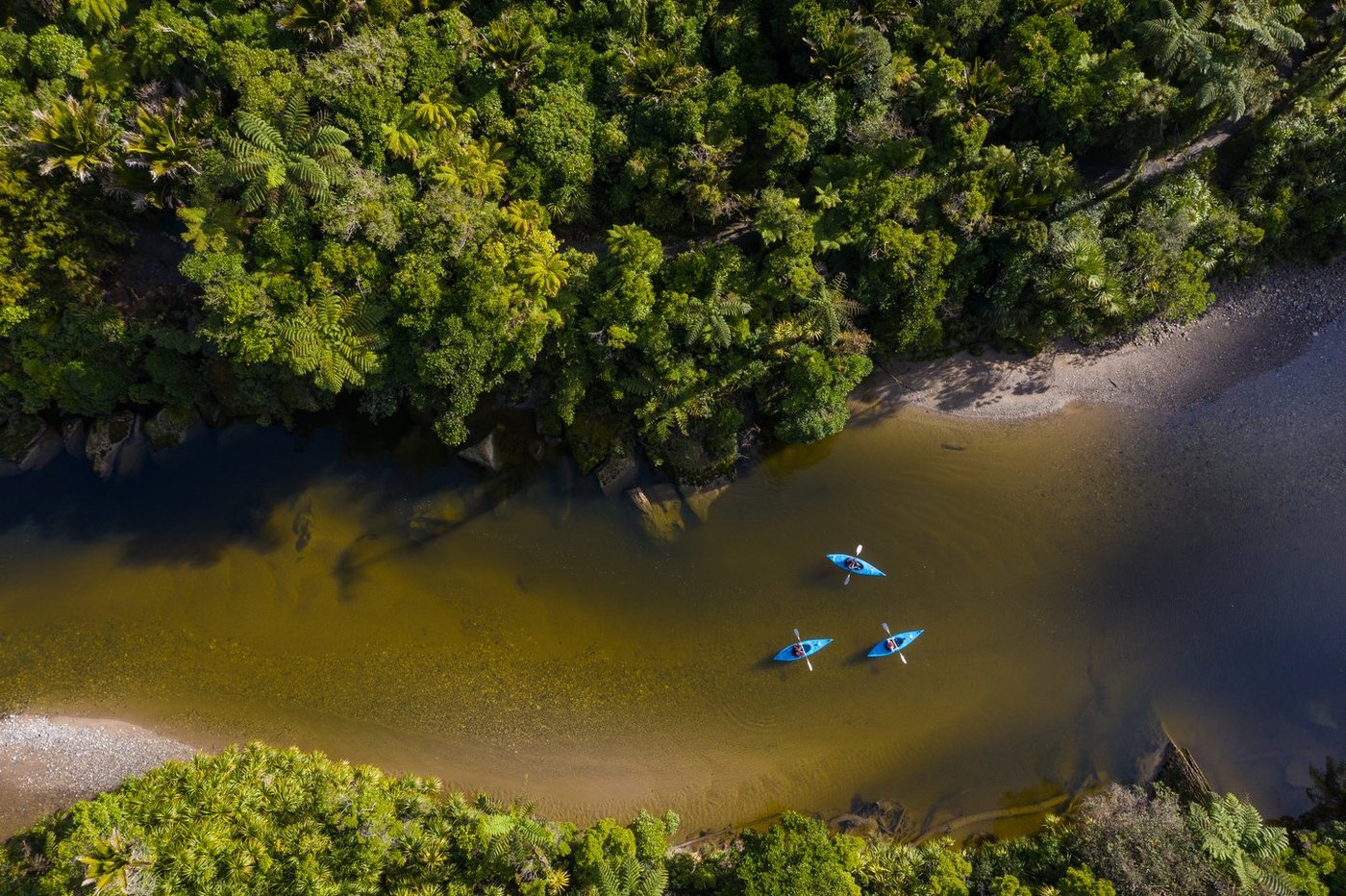 Spring activities on the West Coast | West Coast NZ