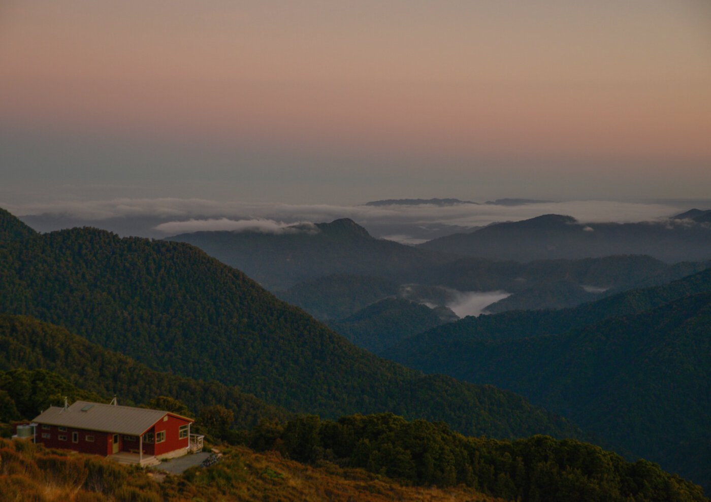 10 best short walks on the West Coast | West Coast NZ